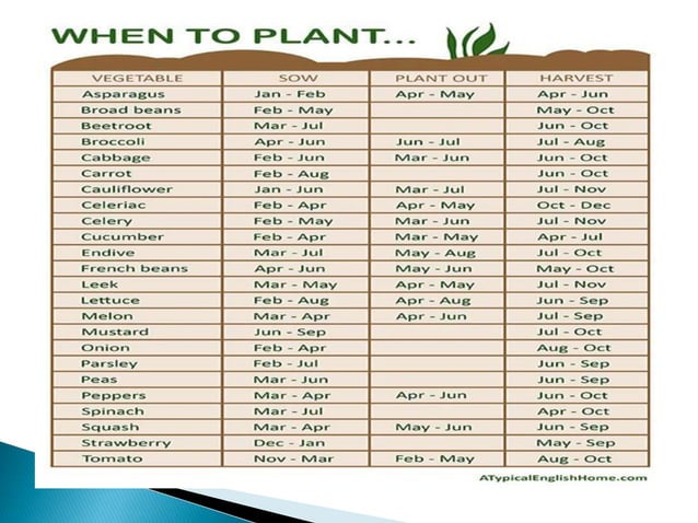 Planting-Systems.pptx | Agriculture | Industries