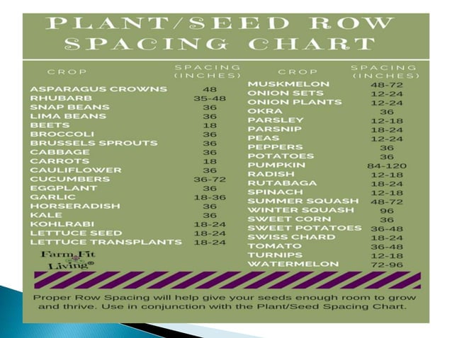 Planting-Systems.pptx | Agriculture | Industries