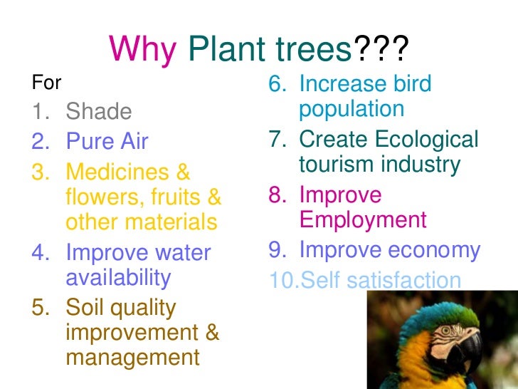 Planting trees