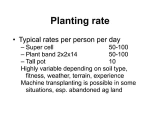 Planting and plant protection | PDF