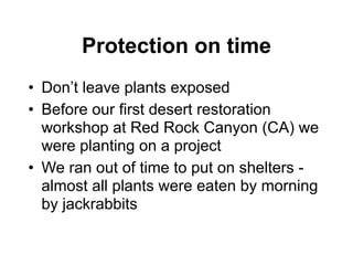 Planting and plant protection | PPT