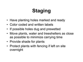 Planting and plant protection | PDF