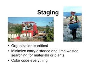 Planting and plant protection | PPT