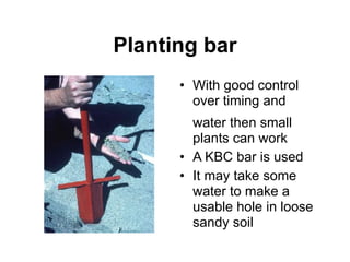 Planting and plant protection | PPT