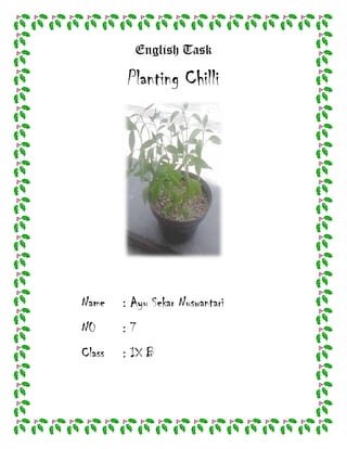 Planting Chili | PDF