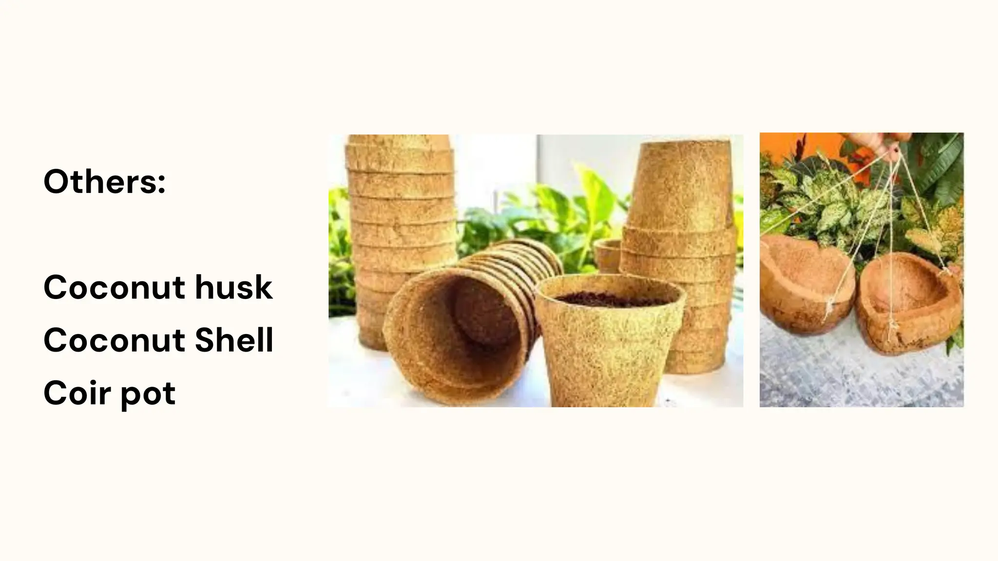 Planting Container and Planting Materials | PPT