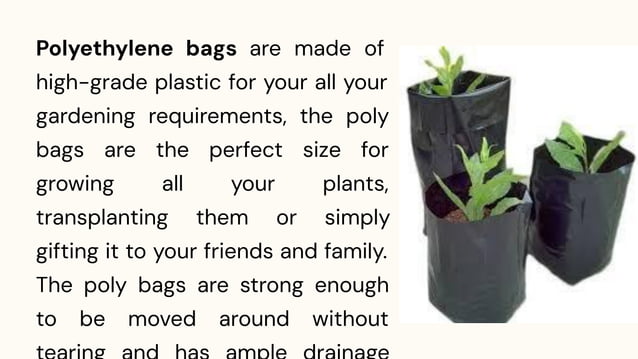 Planting Container and Planting Materials | PPT