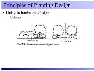 Planting design | PPT