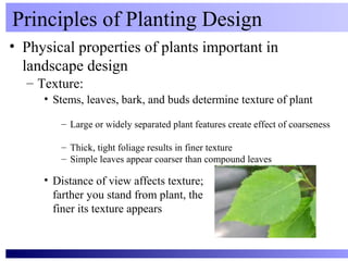 Planting design | PPT