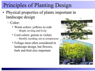 Planting design | PPT