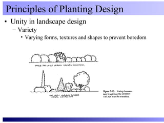 Planting design | PPT