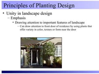 Planting design | PPT