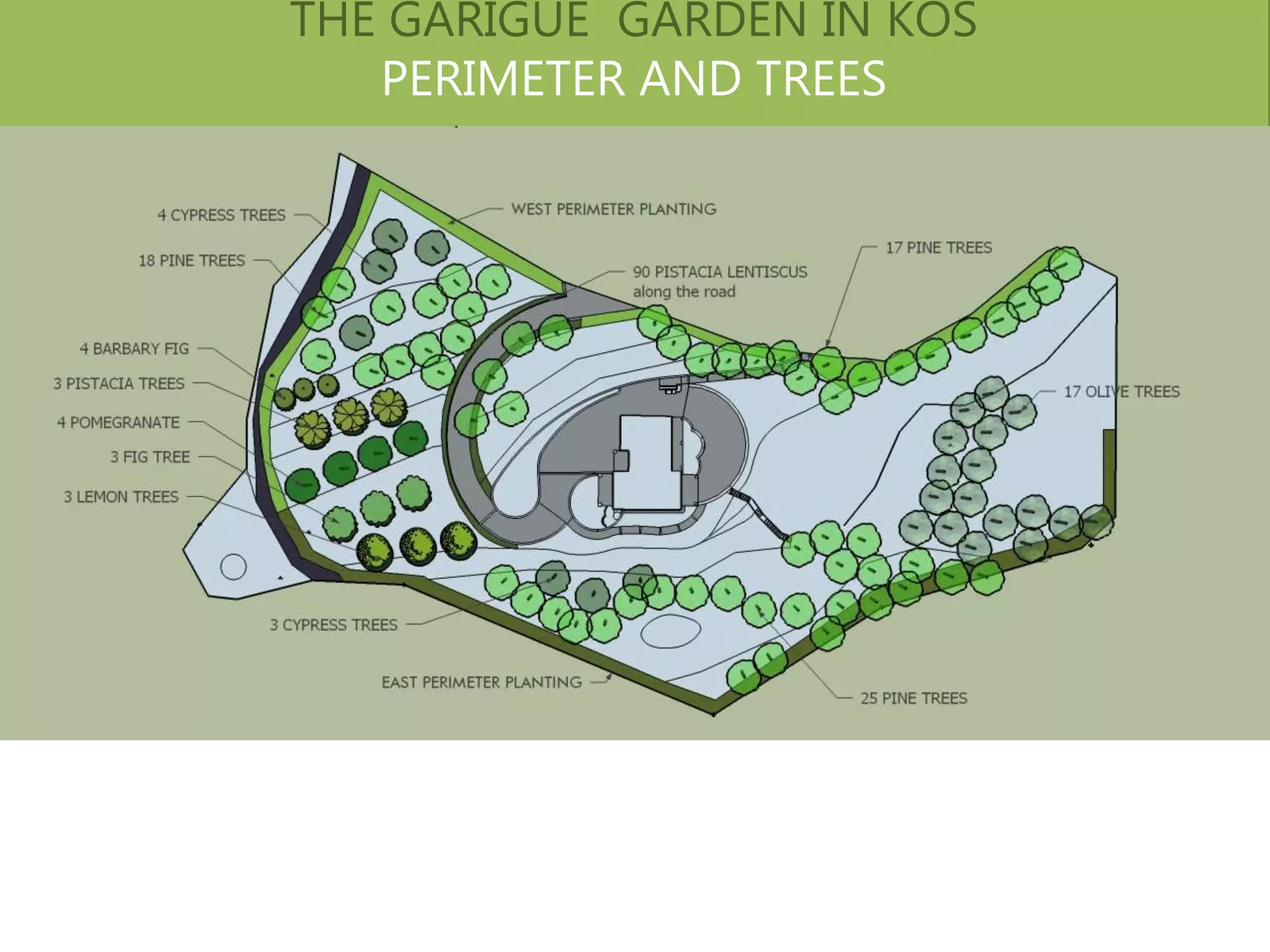 Planting details garigue garden | PPTX