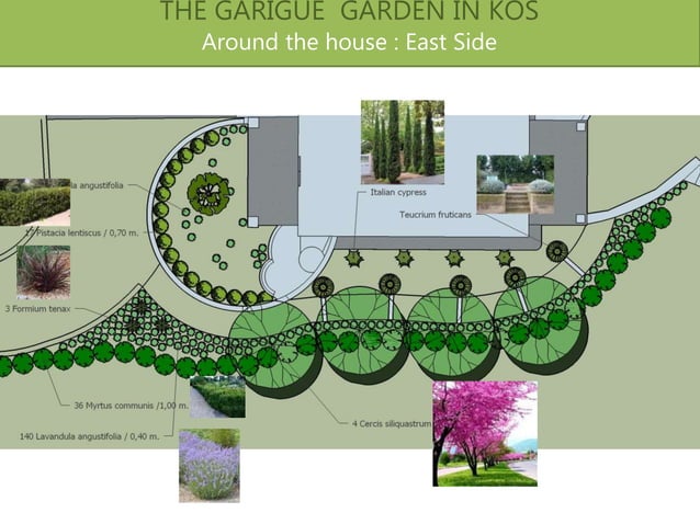 Planting details garigue garden | PPT