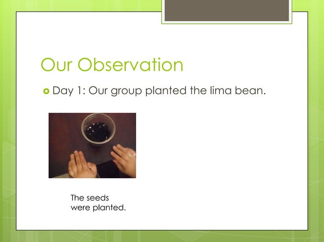 Planting magic beans | PPTX
