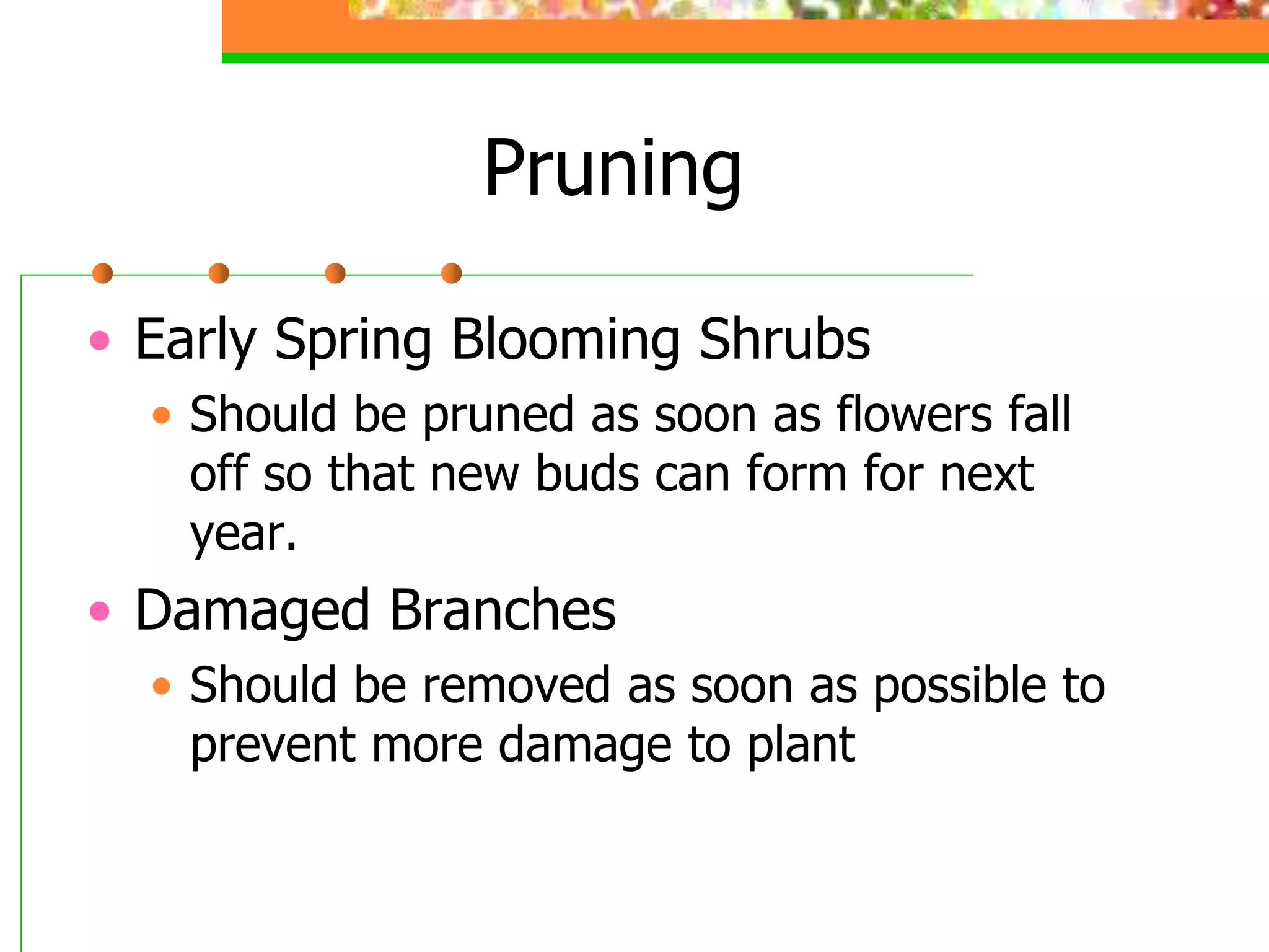 planting maintenance of ornamental plants .ppt