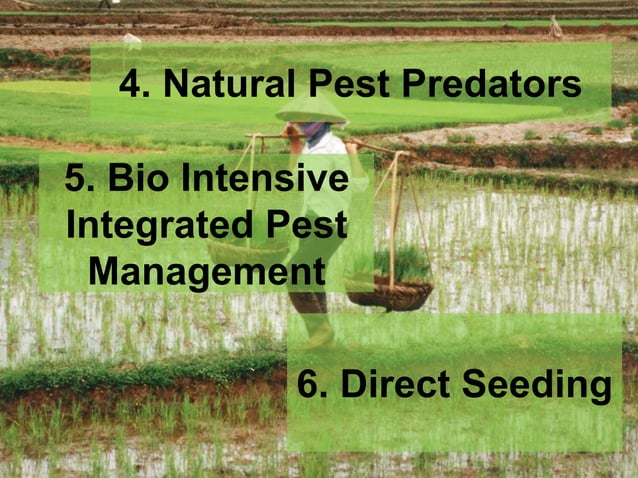 Agri Planting Methods | PPTX