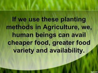 Agri Planting Methods | PPTX