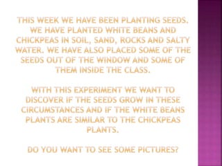 PLANTING SEEDS POWER POINT | PPTX