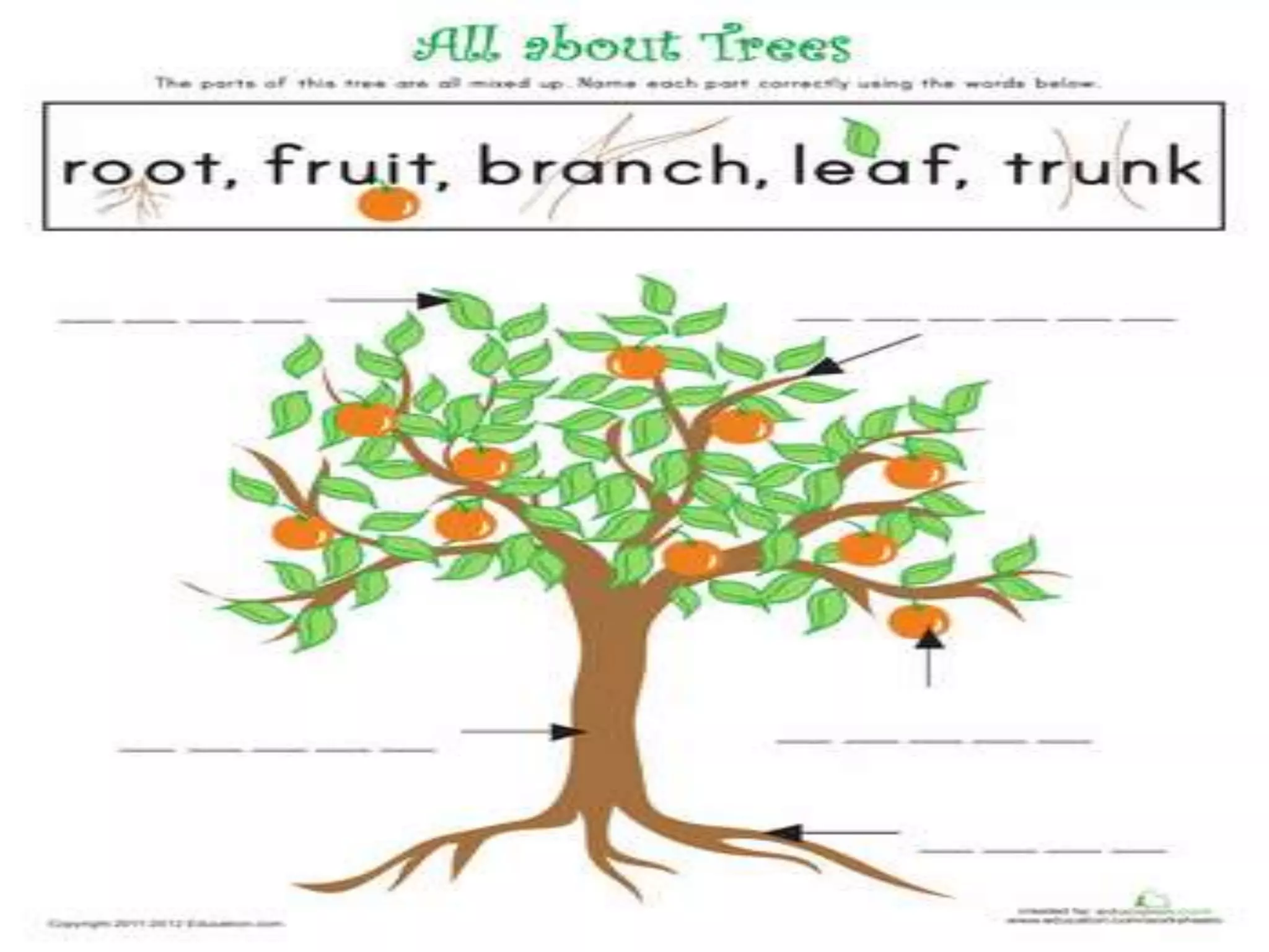 Planting Seeds Story | PPTX