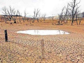 Planting Seeds Story | PPTX | Gardening | Home & Garden