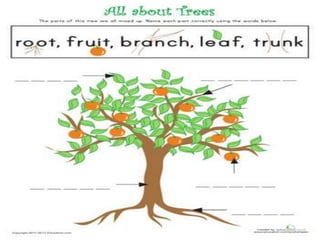 Planting Seeds Story | PPTX | Gardening | Home & Garden