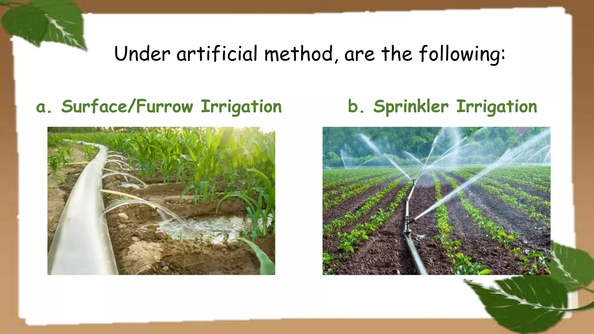 PLANTING part 2 HELE 6 | PPTX