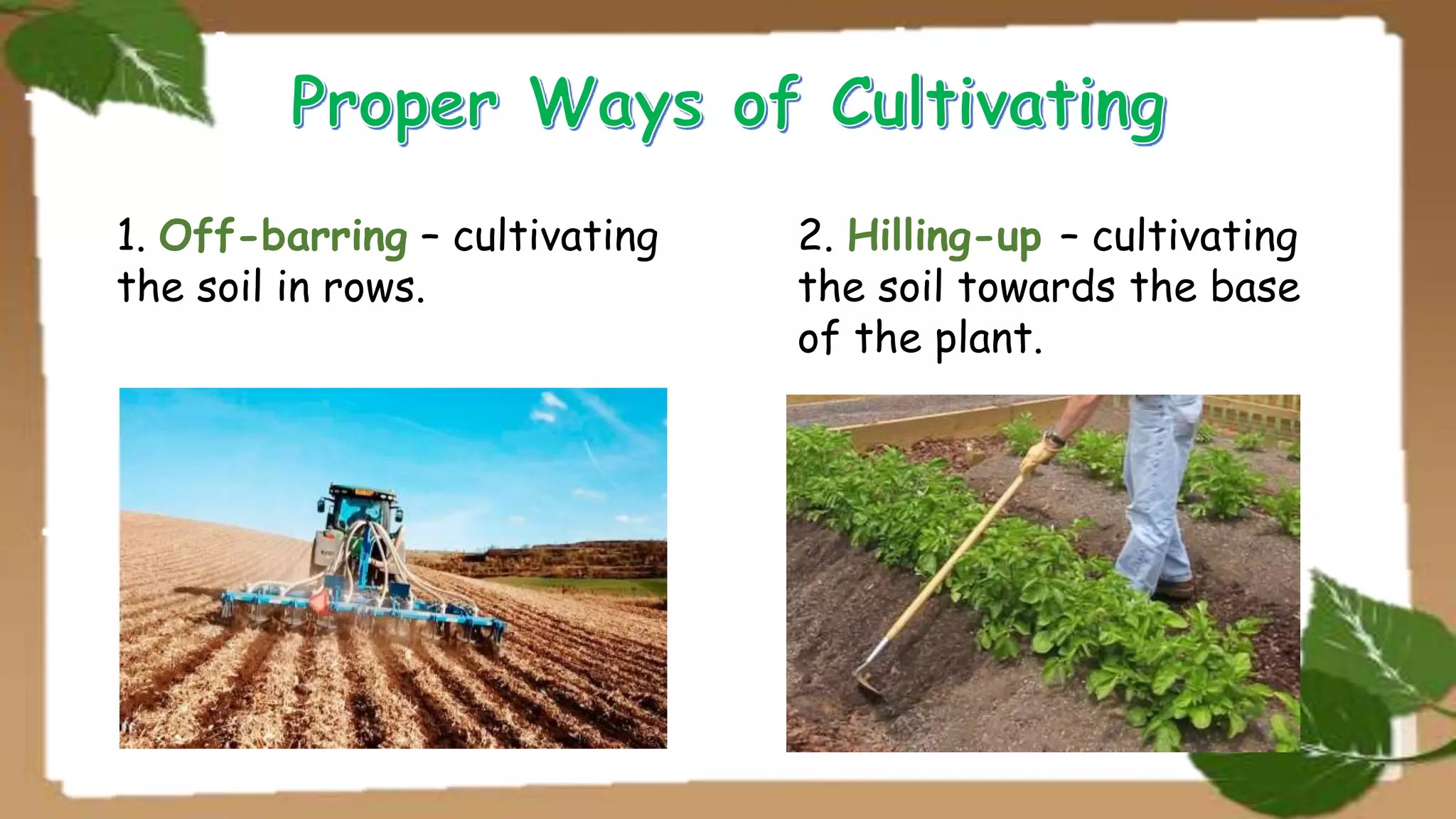 PLANTING part 2 HELE 6 | PPTX