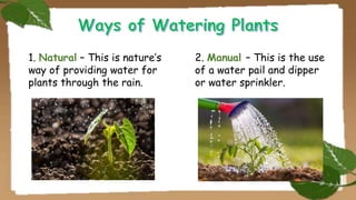 PLANTING part 2 HELE 6 | PPTX