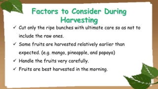 PLANTING part 2 HELE 6 | PPTX