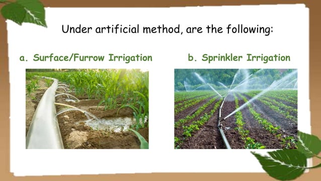 PLANTING part 2 HELE 6 | PPTX | Agriculture | Industries