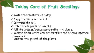 PLANTING part 2 HELE 6 | PPTX