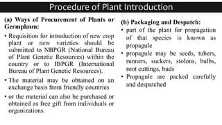 Plant introduction and domestication | PPTX