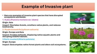 Description about plant invasion of species 1.pdf