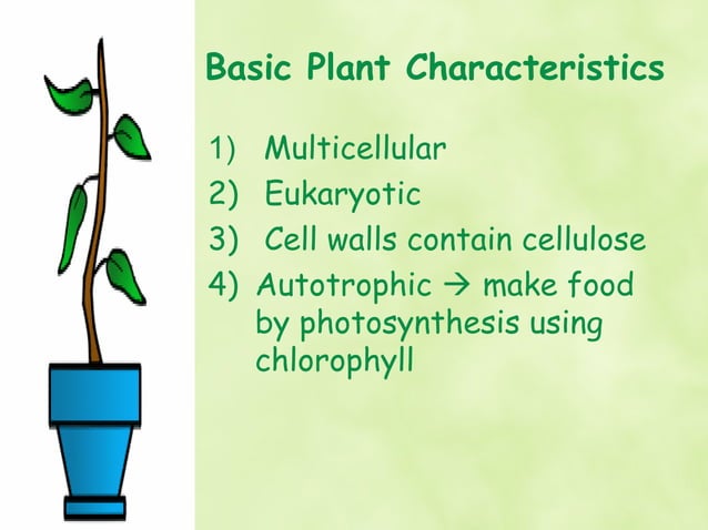 Plant kingdom.ppt2013 2014 | PPT | Free Download