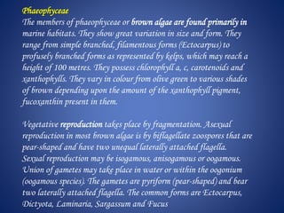 Plant kingdom | PPTX