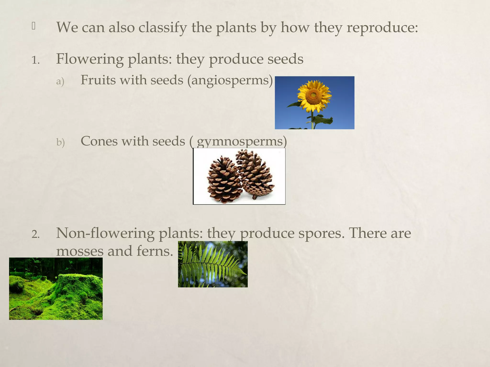 Plant kingdom | PPT