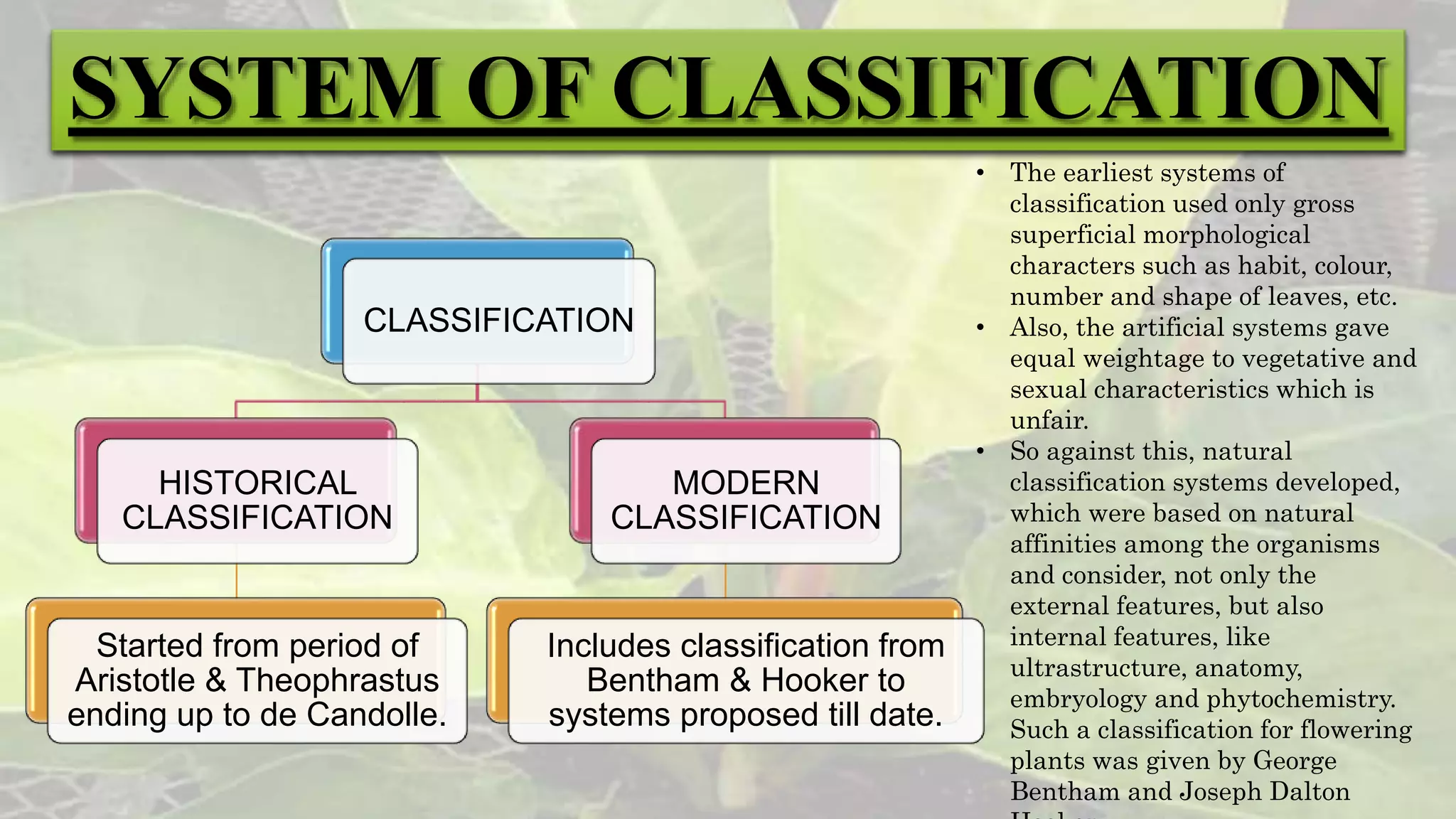 Plant kingdom | PPTX
