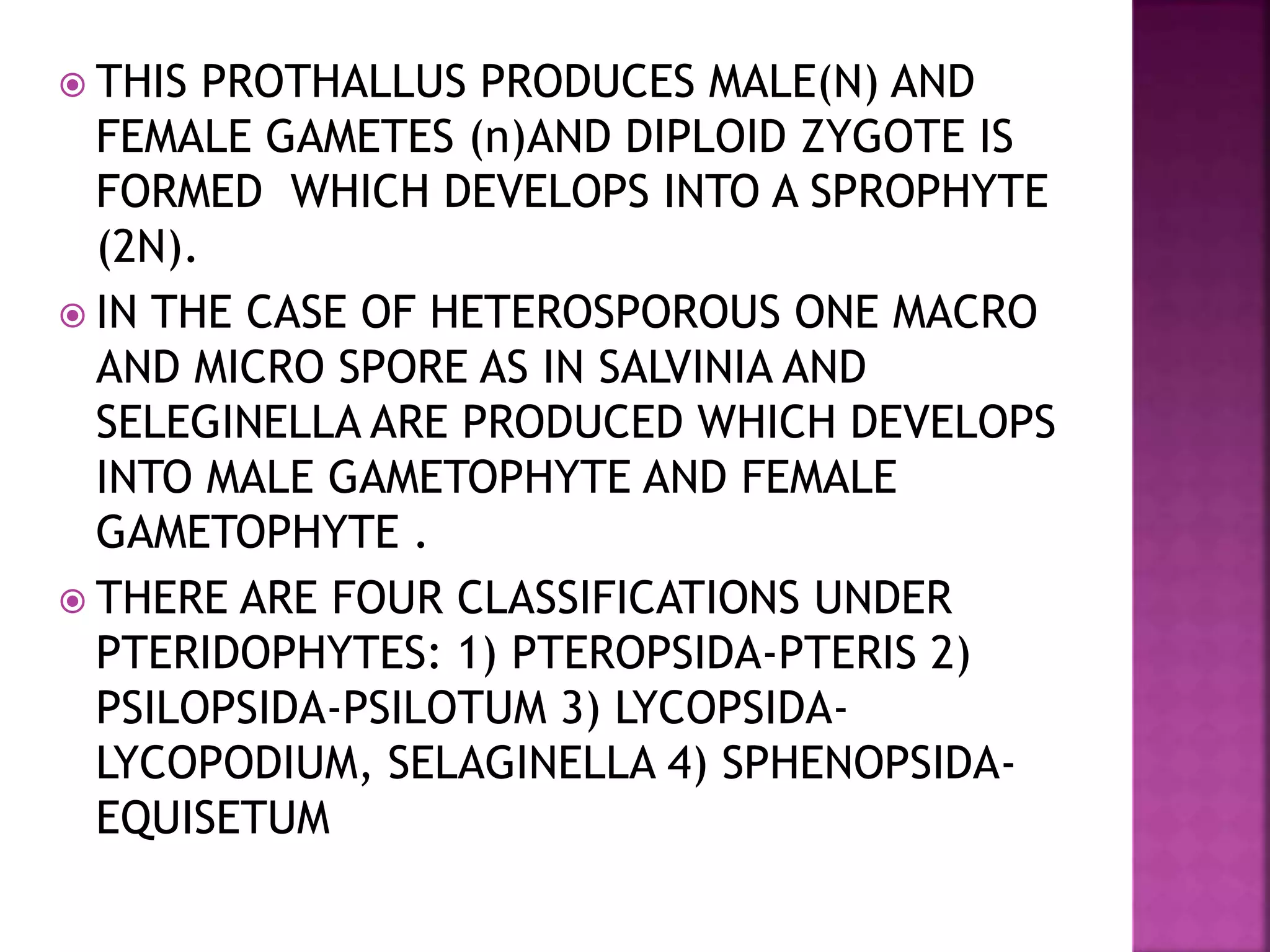 Plant kingdom class 11 | PPTX