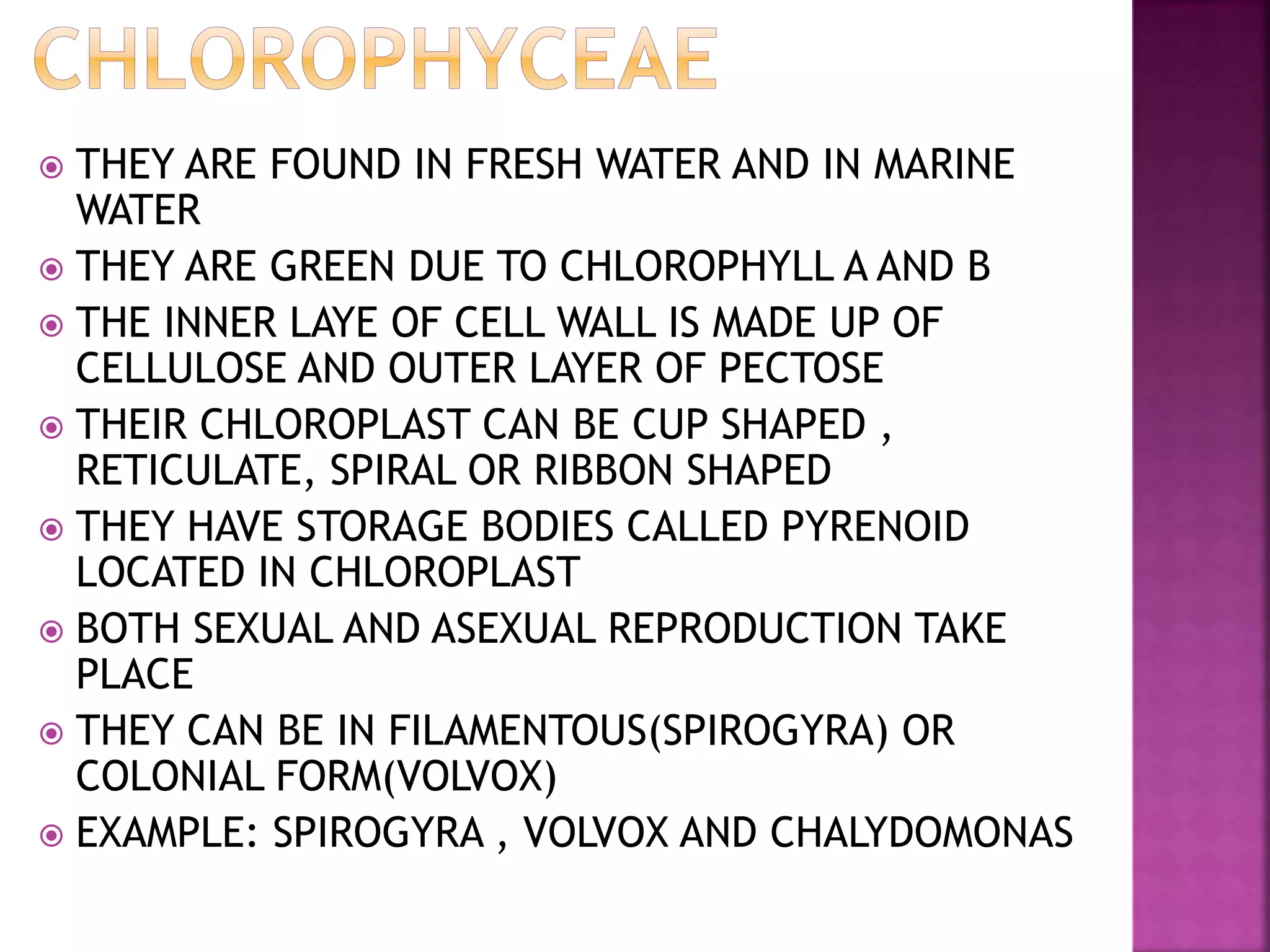 Plant kingdom class 11 | PPTX