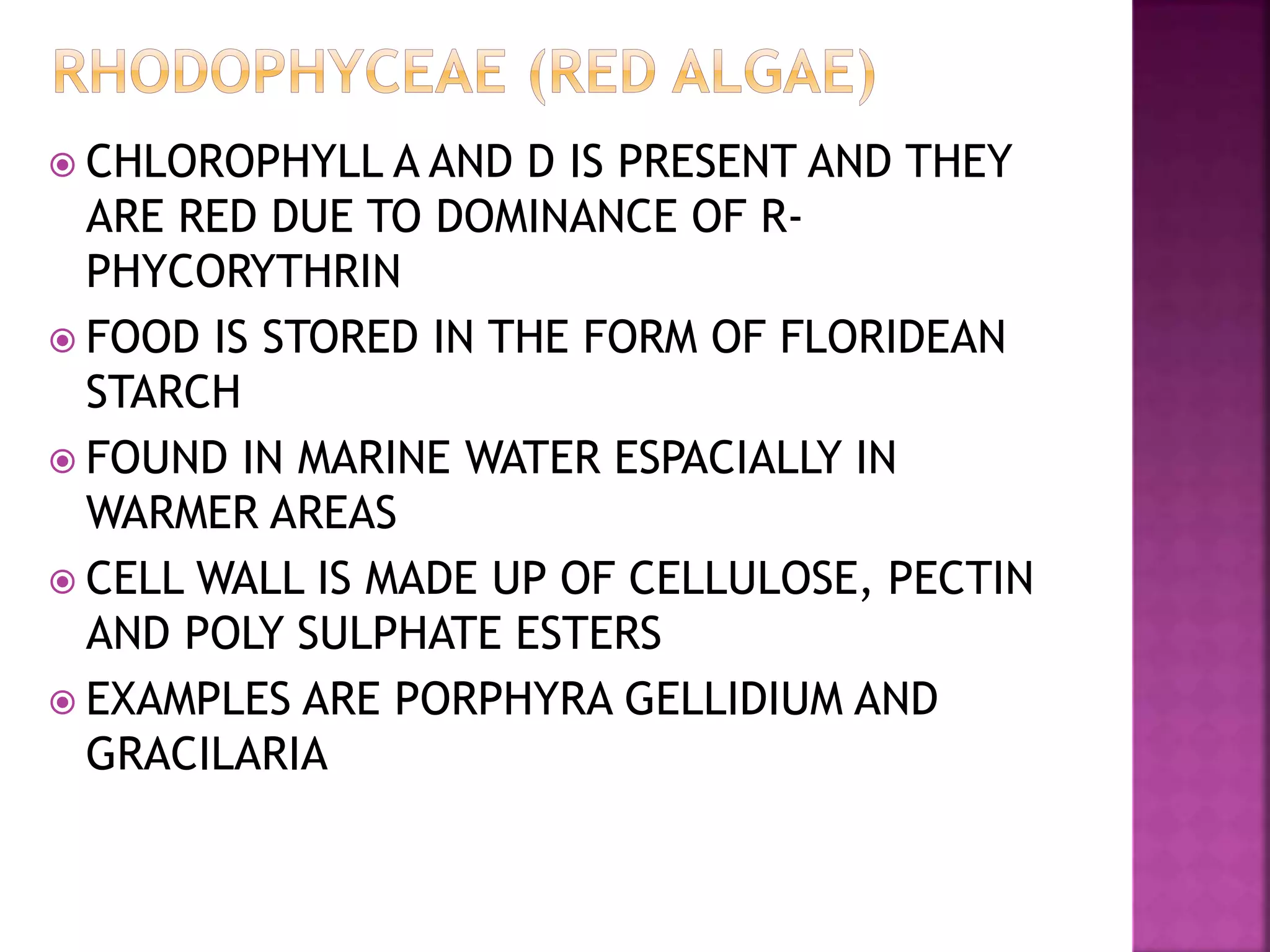 Plant kingdom class 11 | PPTX