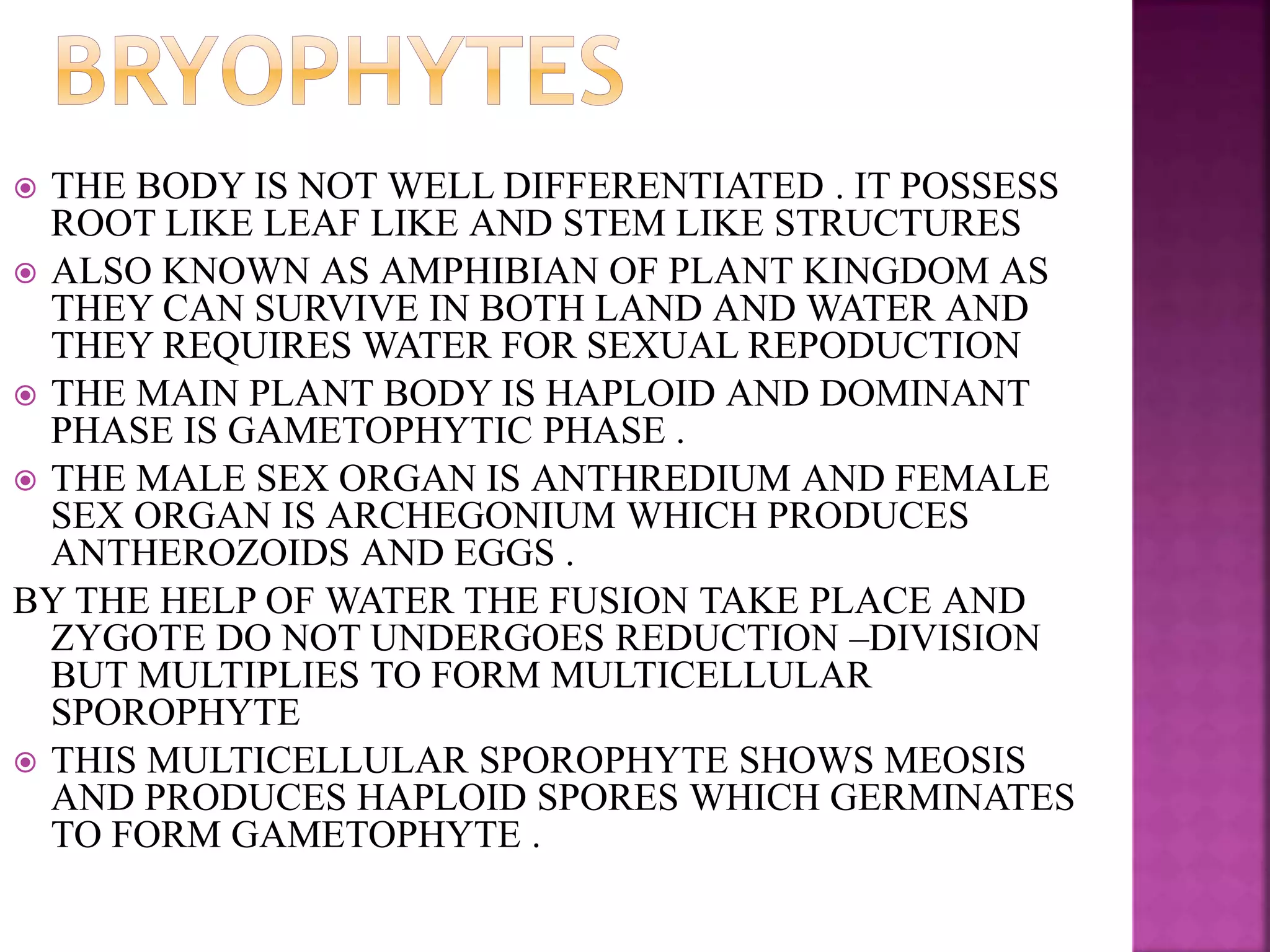 Plant kingdom class 11 | PPTX