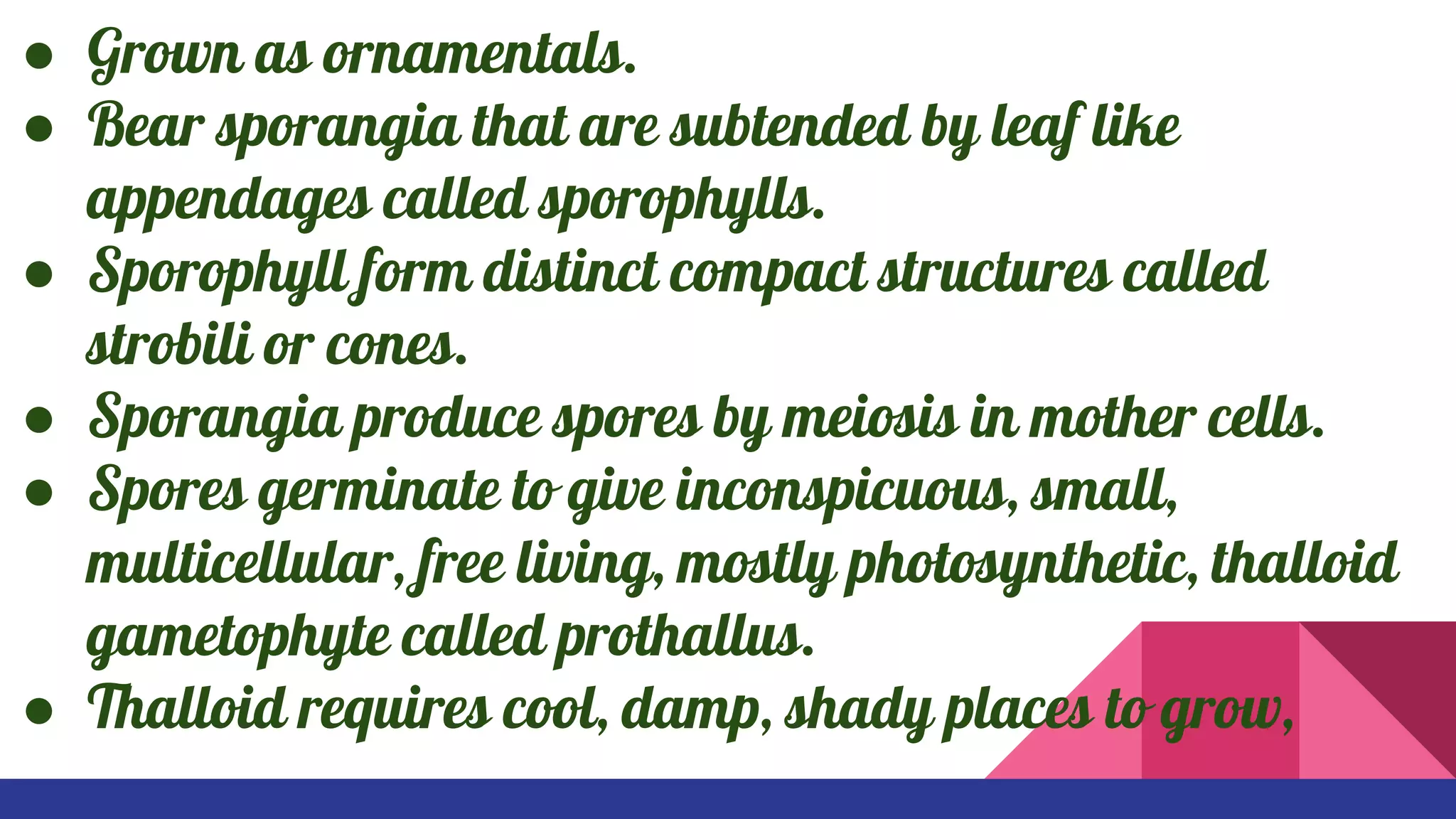 class 11 biology Plant kingdom ppt | PPTX