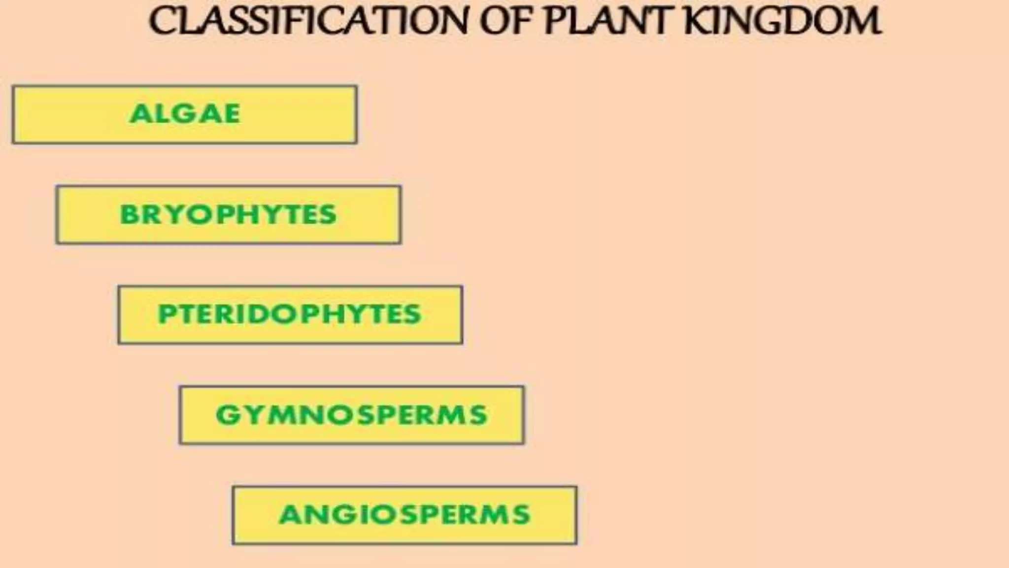 class 11 biology Plant kingdom ppt | PPTX