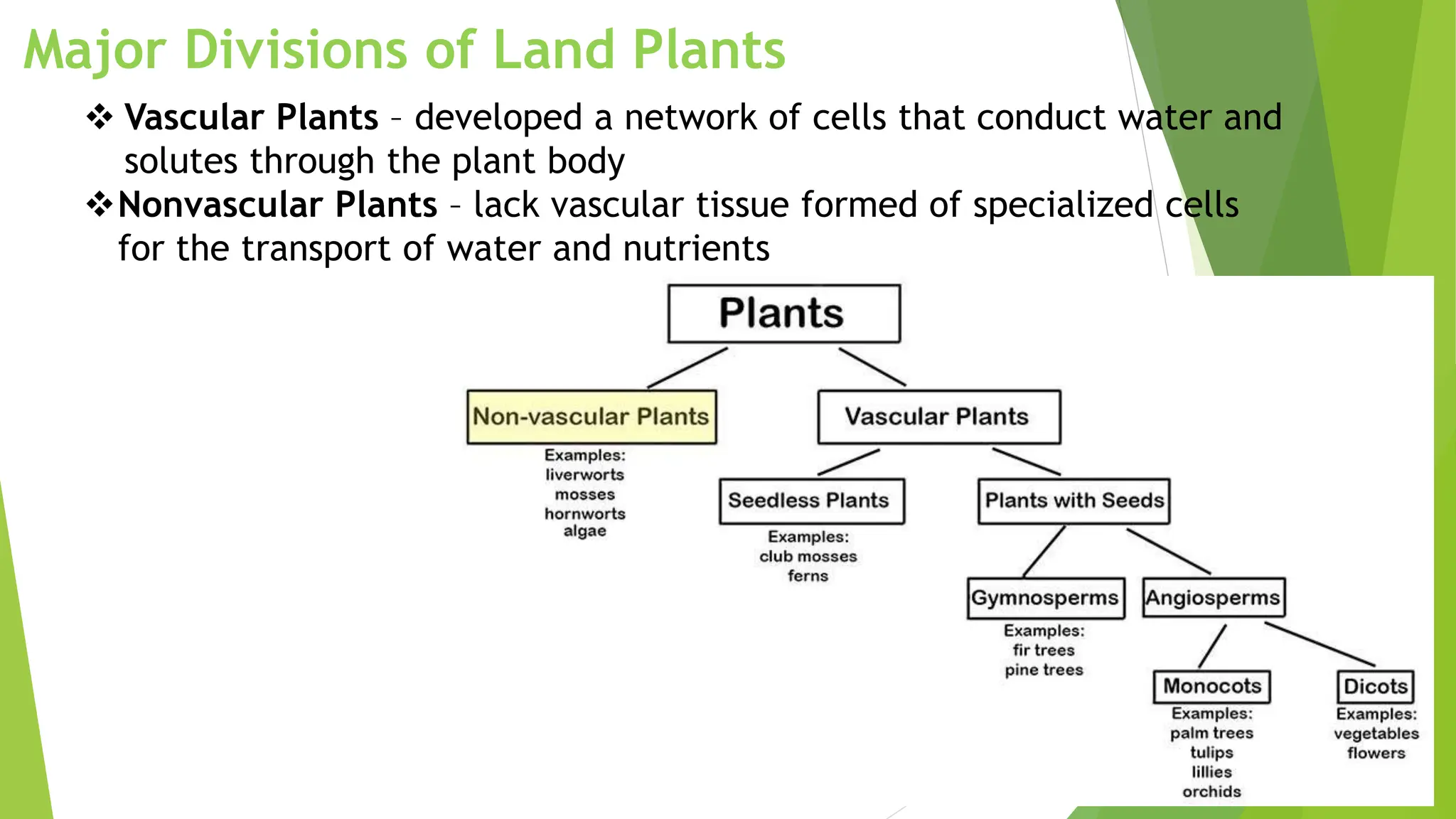 Plant Kingdom Biology Lessons and Botany | PPTX