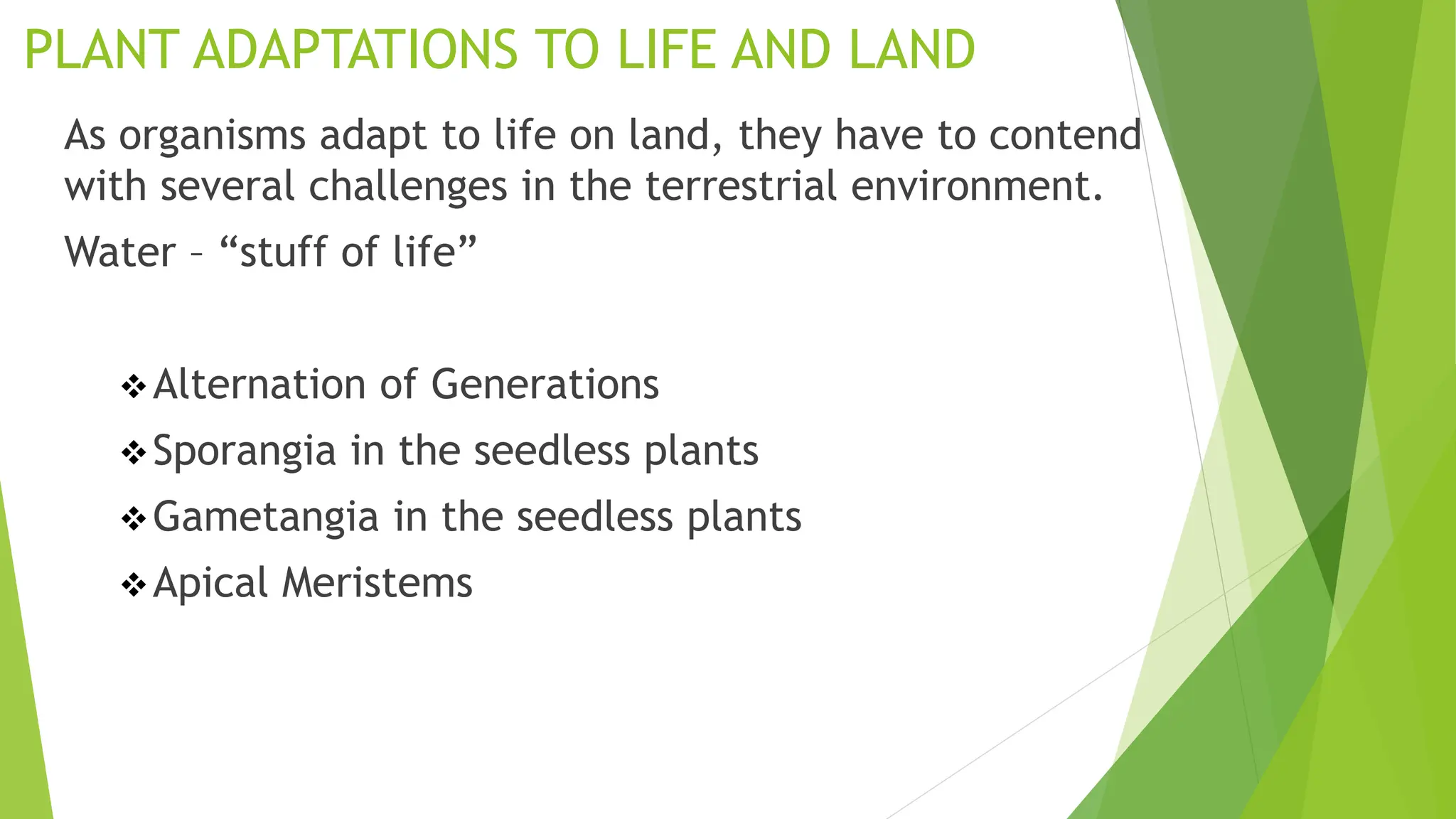 Plant Kingdom Biology Lessons and Botany | PPTX