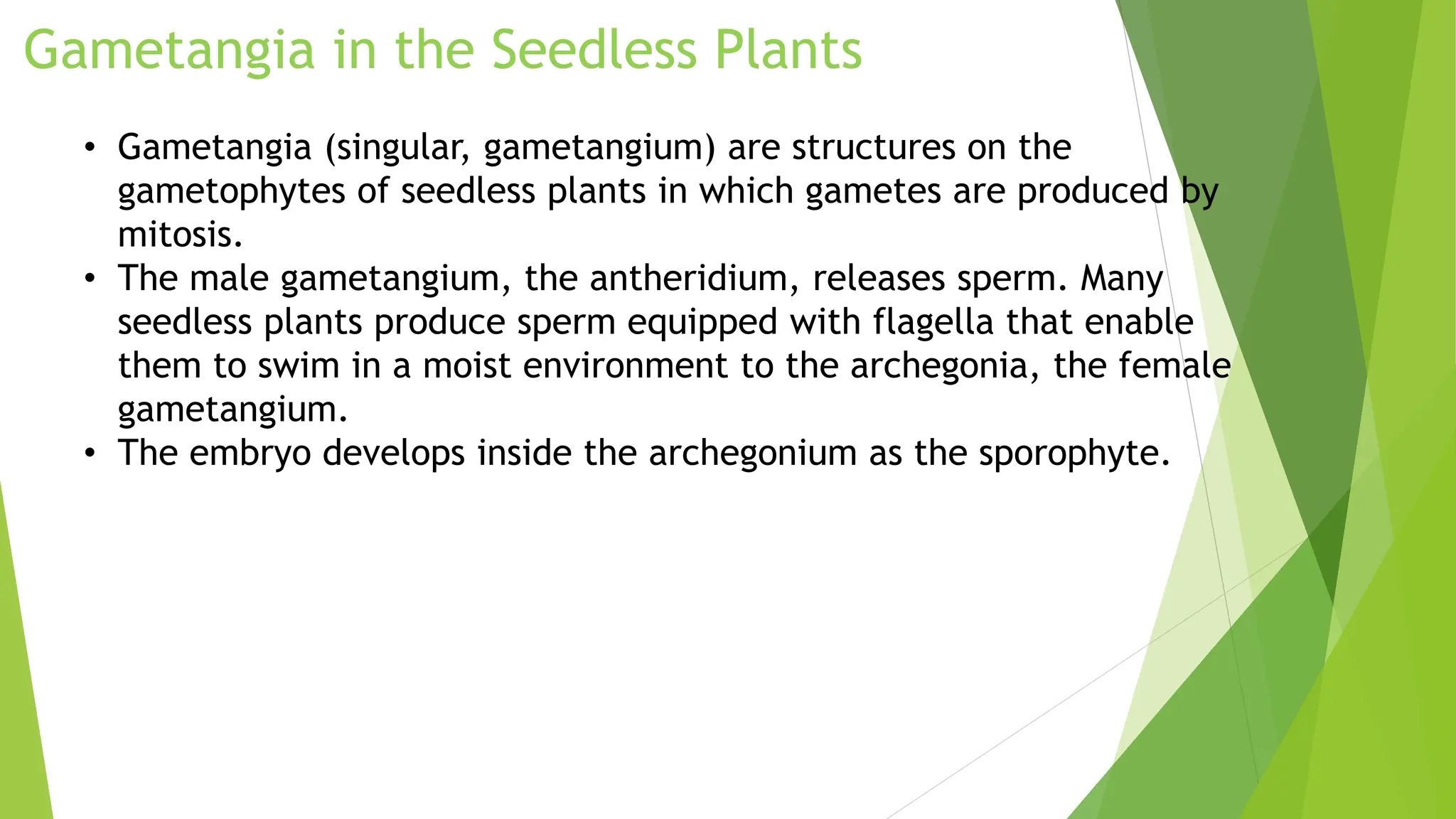 Plant Kingdom Biology Lessons and Botany | PPTX