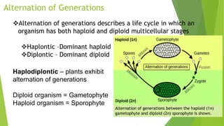 Plant Kingdom Biology Lessons and Botany | PPTX