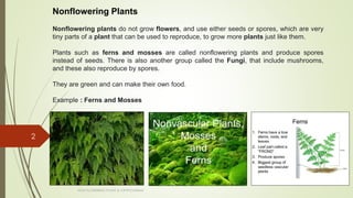 PLANT KINGDOM -NON FLOWERING PLANT & CRYPTOGRAM.pdf