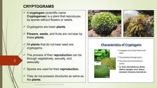 PLANT KINGDOM -NON FLOWERING PLANT & CRYPTOGRAM.pdf